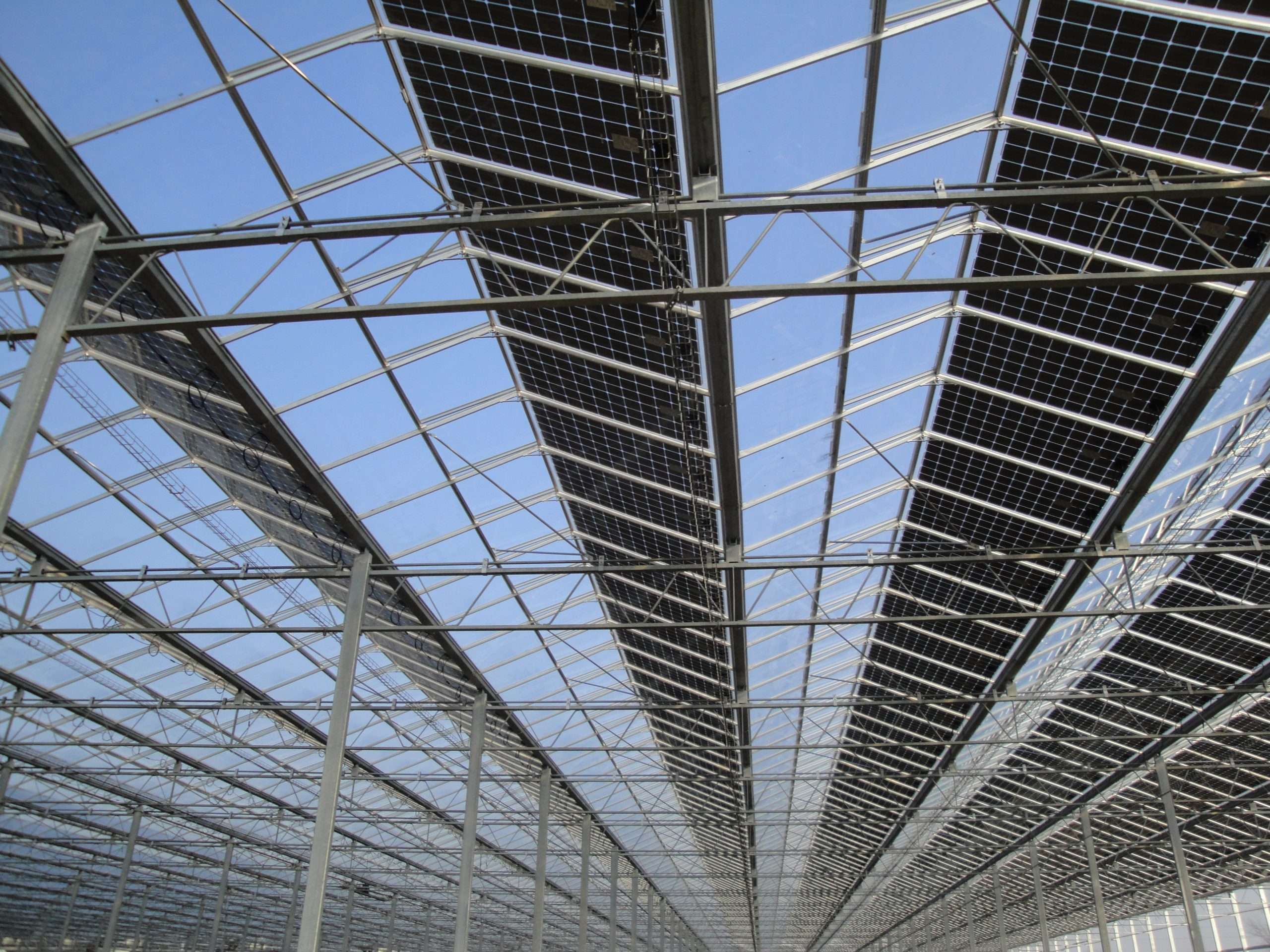 Serres verres Photovoltaïques - Richel Group